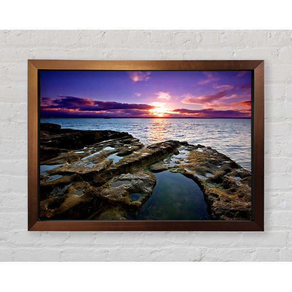 Haus am Meer Auckland Sonnenuntergang Gerahmter Druck | Wayfair.de